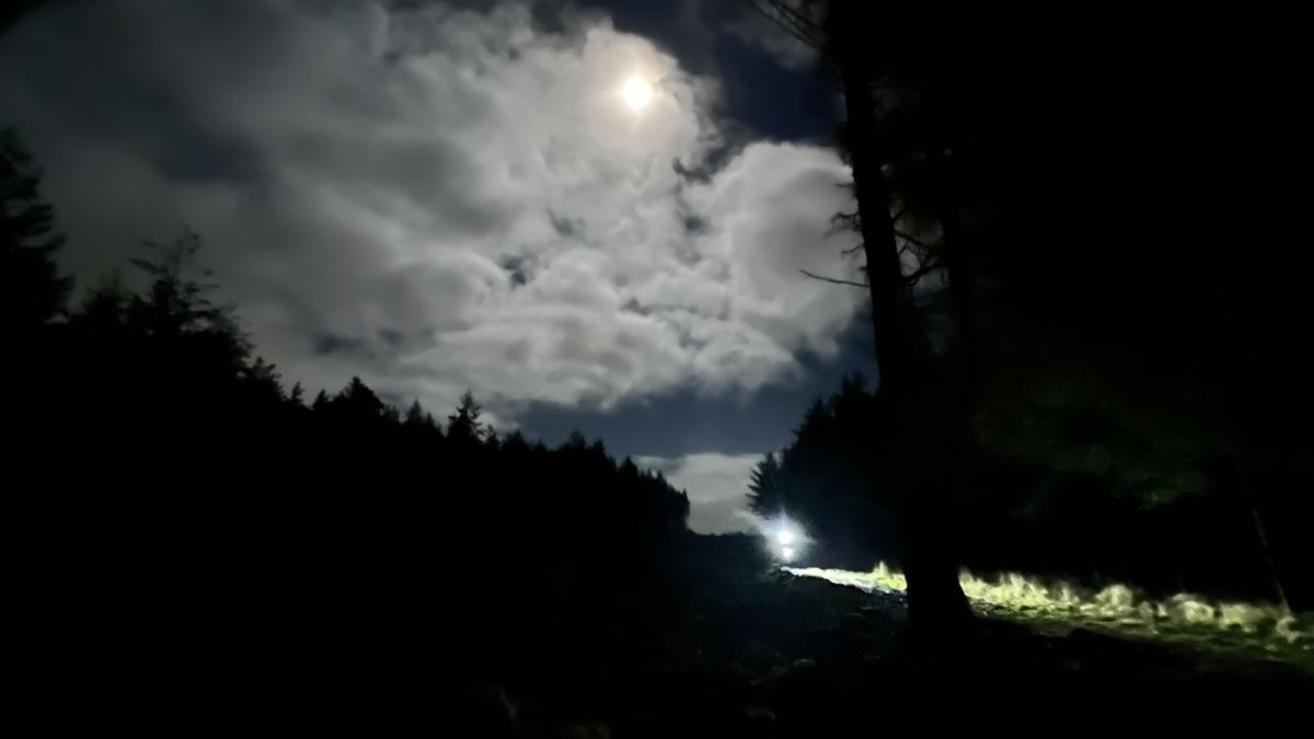 On-One Rujo steel gravel bike – beautiful riding bargain | Bike Perfect