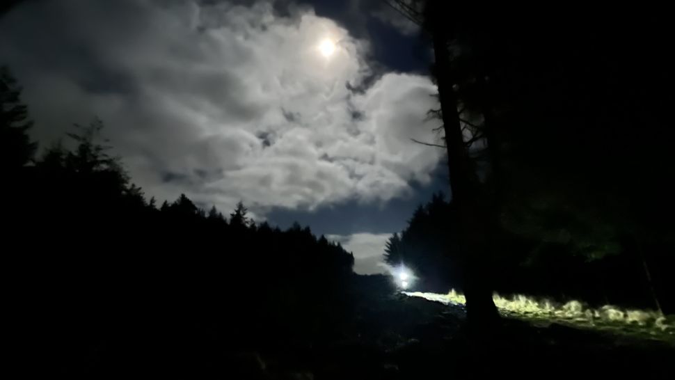 On-One Rujo steel gravel bike – beautiful riding bargain | Bike Perfect