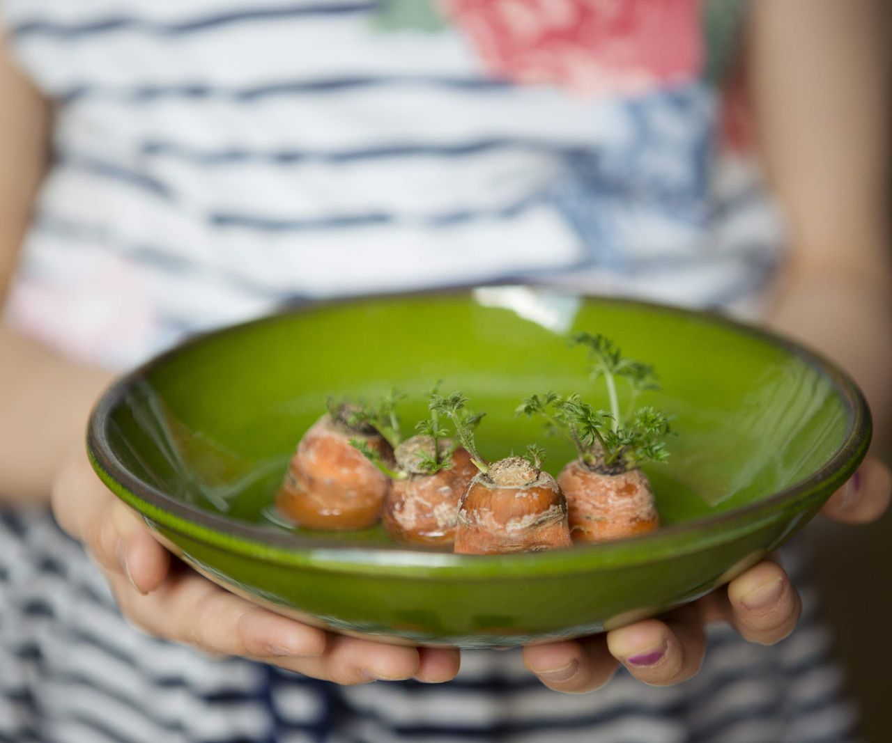 How to grow carrots from carrot tops: a fun family project | Homes and ...