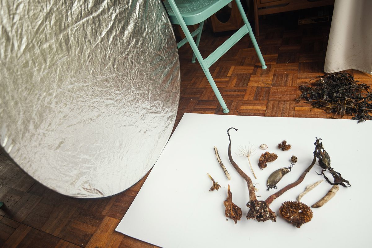 How to shoot a flat lay featuring ingredients from nature | Digital ...