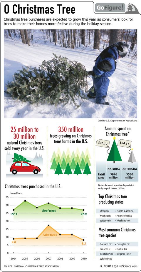 Christmas Tree a Must-Have for Many (Infographic) | Live Science