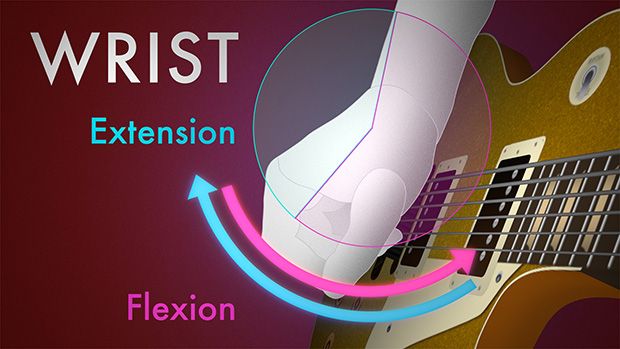 Guitar Anatomy: Four Fundamental Movements Every Guitarist Should Know ...