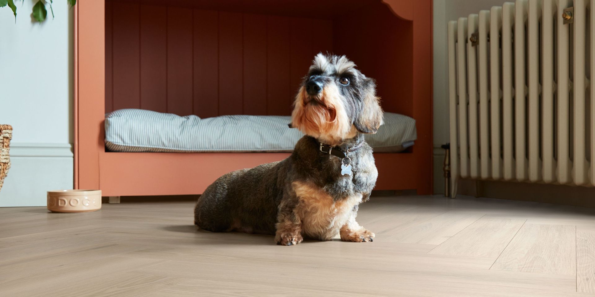 What’s the best flooring for a dog-friendly home? | Ideal Home