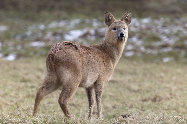 Real or not? The science behind 12 unusual sightings | Live Science