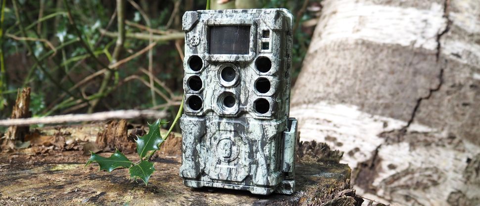 Bushnell Core DS-4K No Glow trail camera review | Digital Camera World