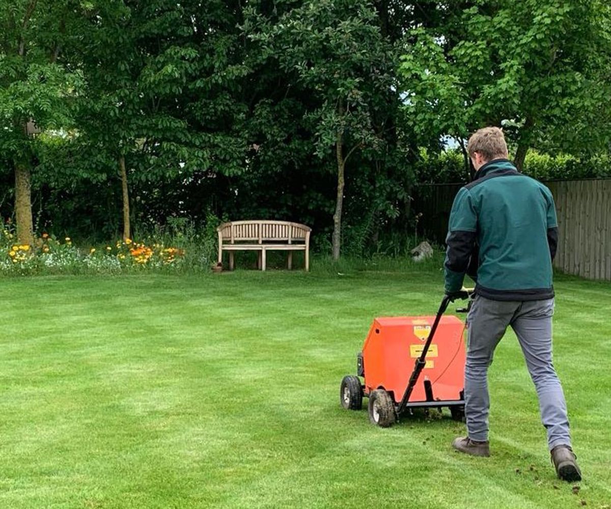 How to scarify a lawn: Step-by-step guide | Homebuilding