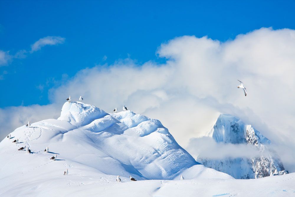 Winter Wonderland: Images of Stunning Snowy Landscapes: Page 2 | Live ...