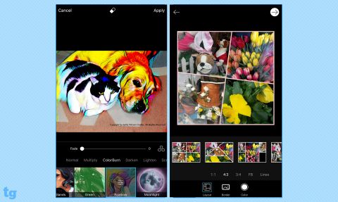 PicsArt Photo Studio: Best All-in-One Photo App for Consumers | Tom's Guide