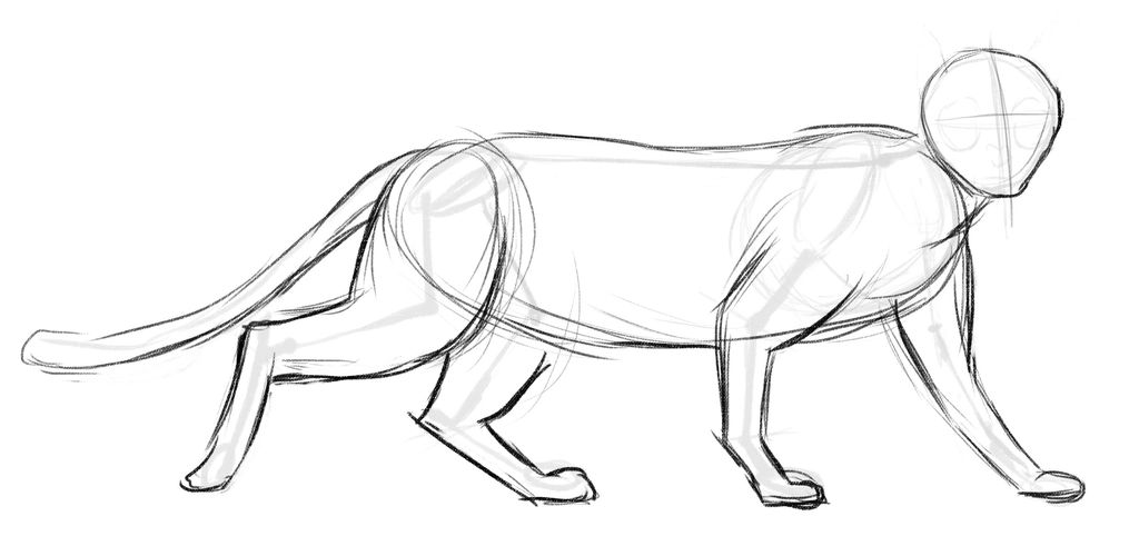 How to draw a cat | Creative Bloq