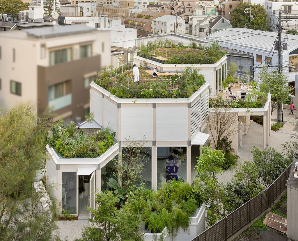 Meet Japanese landscape architect Taichi Saito | Wallpaper*