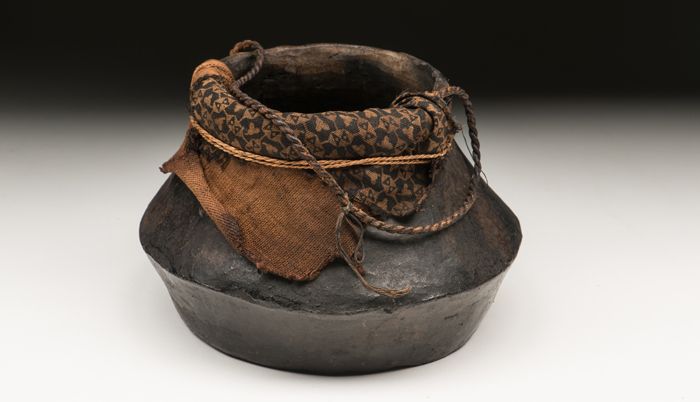 In Photos: The Power of Poison Through Time | Live Science