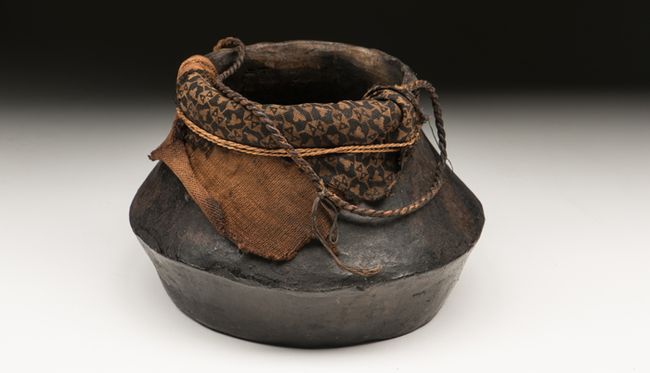 In Photos: The Power of Poison Through Time | Live Science