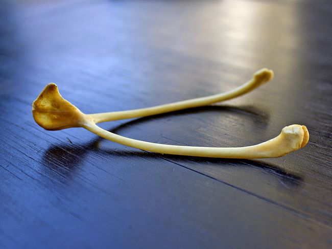 13 Common (But Silly) Superstitions | Live Science