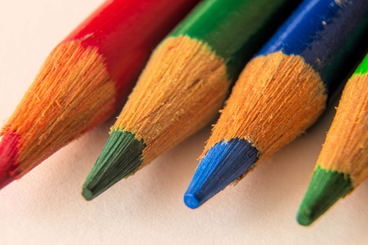 Novoflex Auto Bellows review: Powerful macro magnification with ...