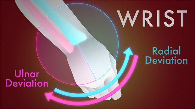 Guitar Anatomy: Four Fundamental Movements Every Guitarist Should Know ...