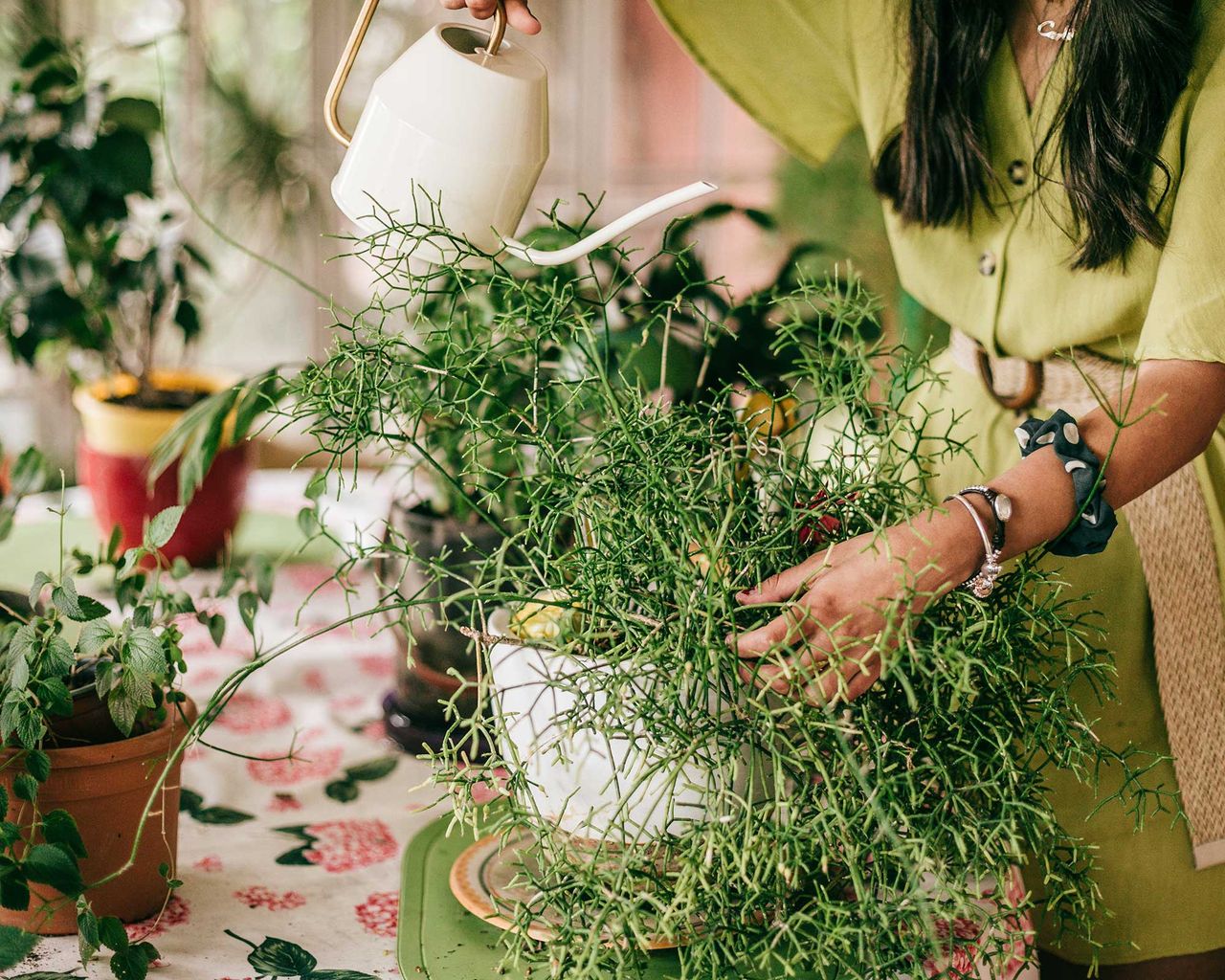 Watering plants: tips on what to do, when to do it, and more | Gardeningetc