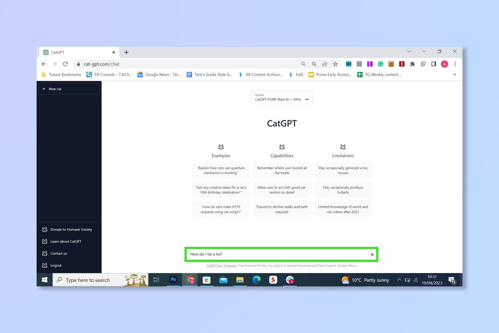 CatGPT is the best use of AI yet | Tom's Guide