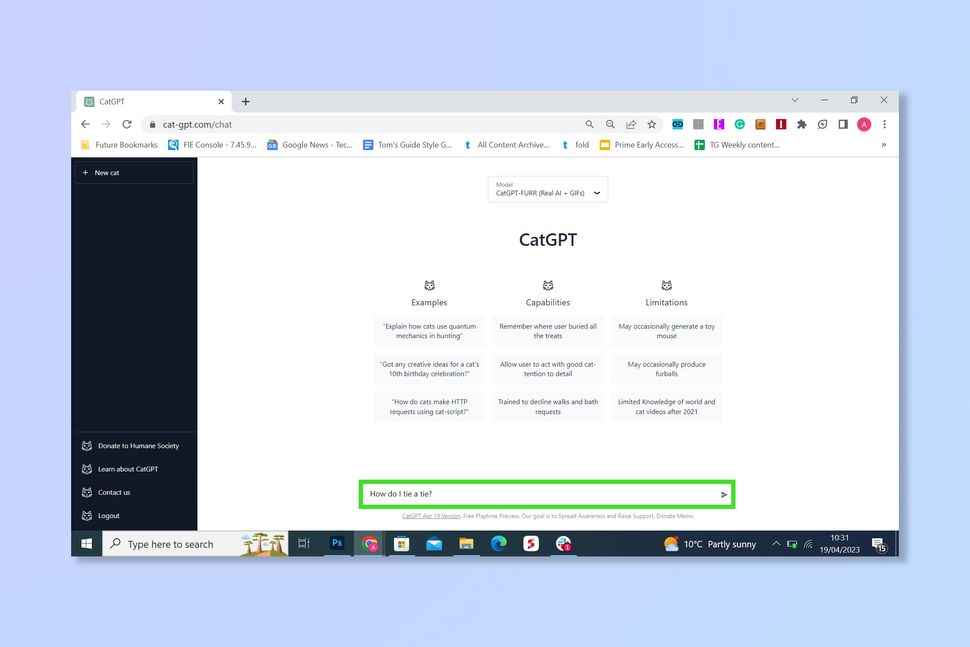 CatGPT is the best use of AI yet | Tom's Guide