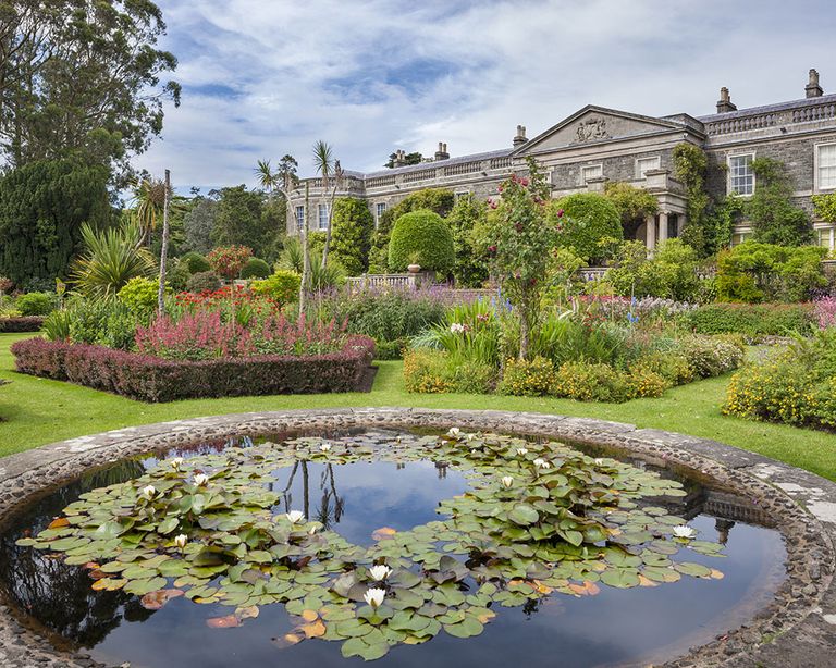 Our favourite National Trust gardens that you can visit all year-round ...