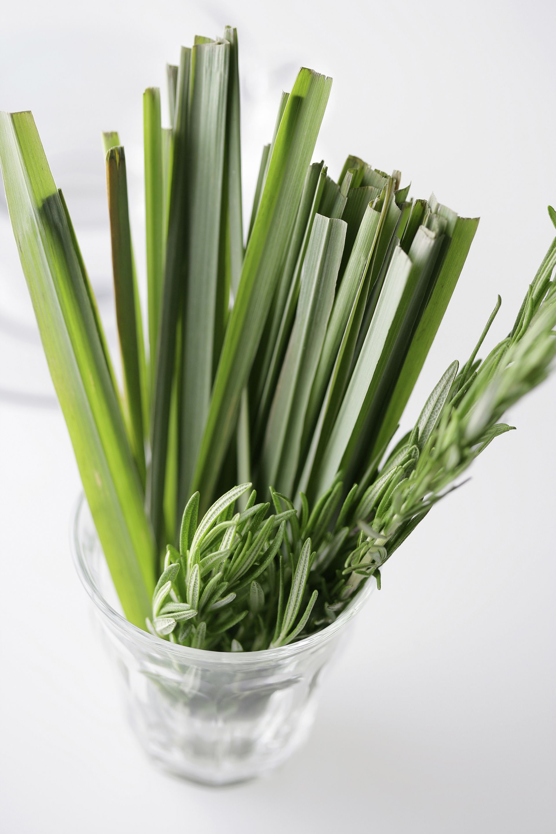 How to grow lemongrass: an easy step-by-step | Homes and Gardens