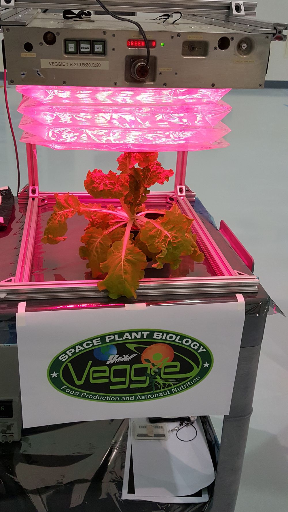 Space-Bound Veggies Will Also Sprout in White House Garden | Space
