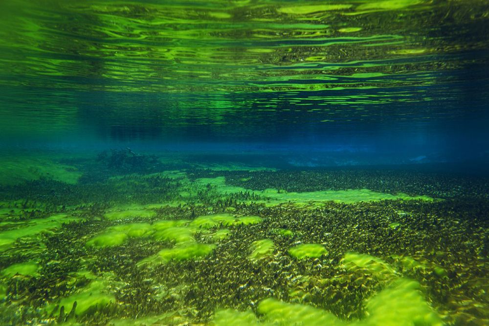 Photos: The Clearest Lake on Earth | Live Science