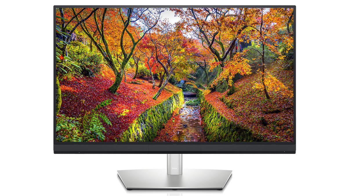 Dell's latest 31.5-inch pro monitor goes extra-large on performance ...