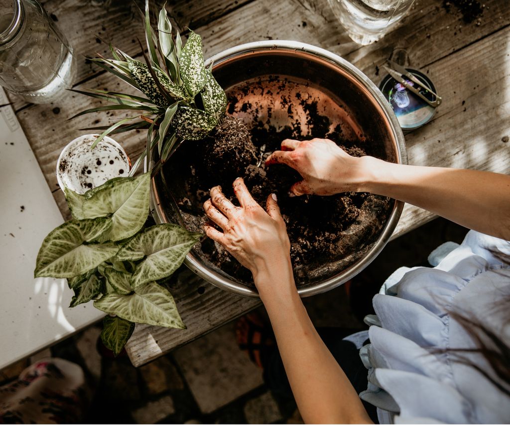 How to make kokedama in 3 simple steps | Homes and Gardens