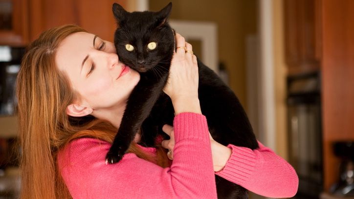 How to pick up a cat correctly | PetsRadar