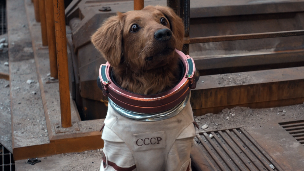 Why Did Cosmo The Spacedog Get Gender-Swapped From The Comics? James ...