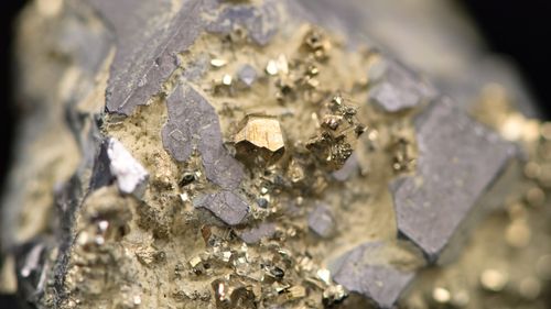 Articles by Sascha Pare, Trainee staff writer | Live Science