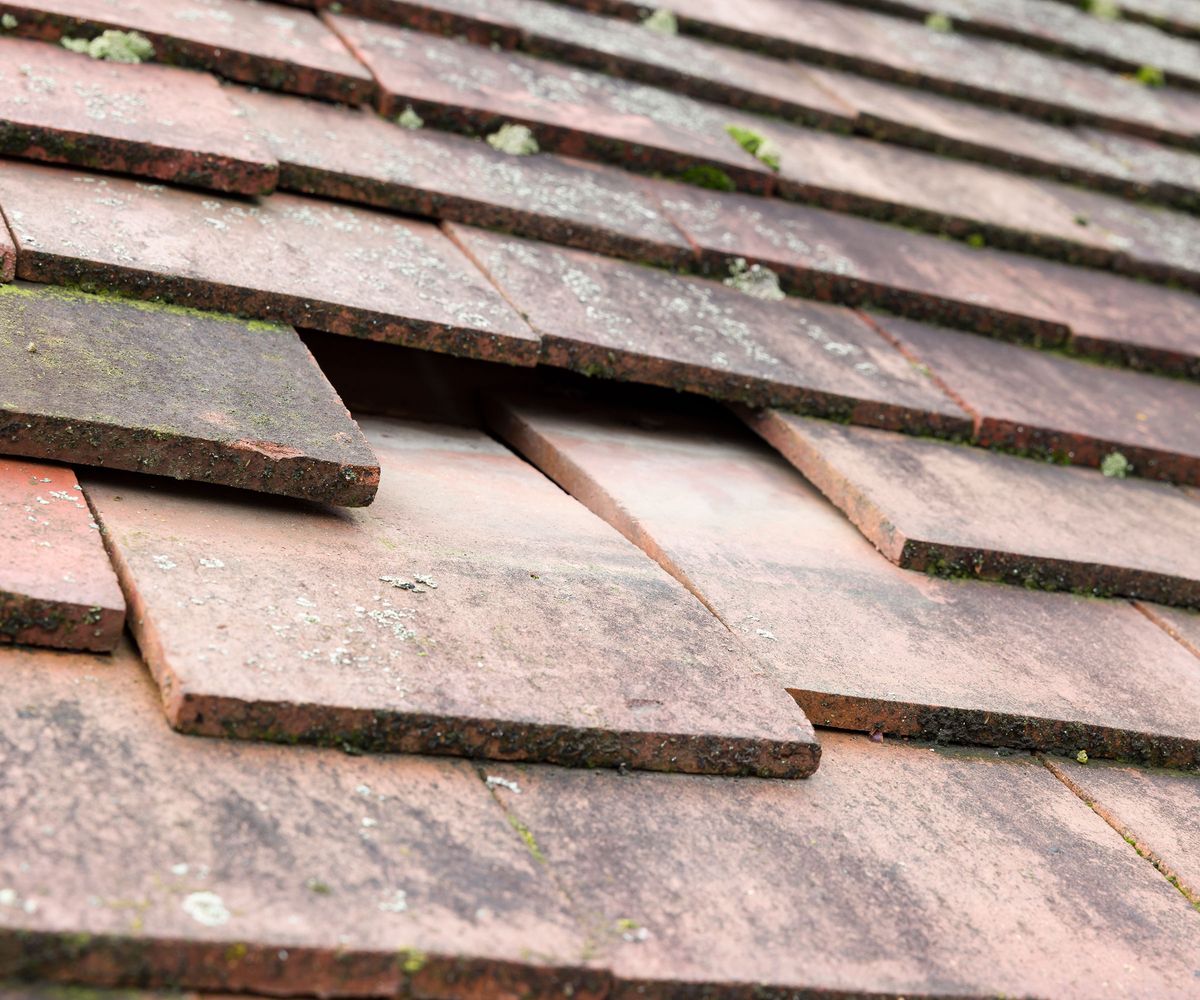 Why is my loft insulation wet? Common causes and solutions | Homebuilding
