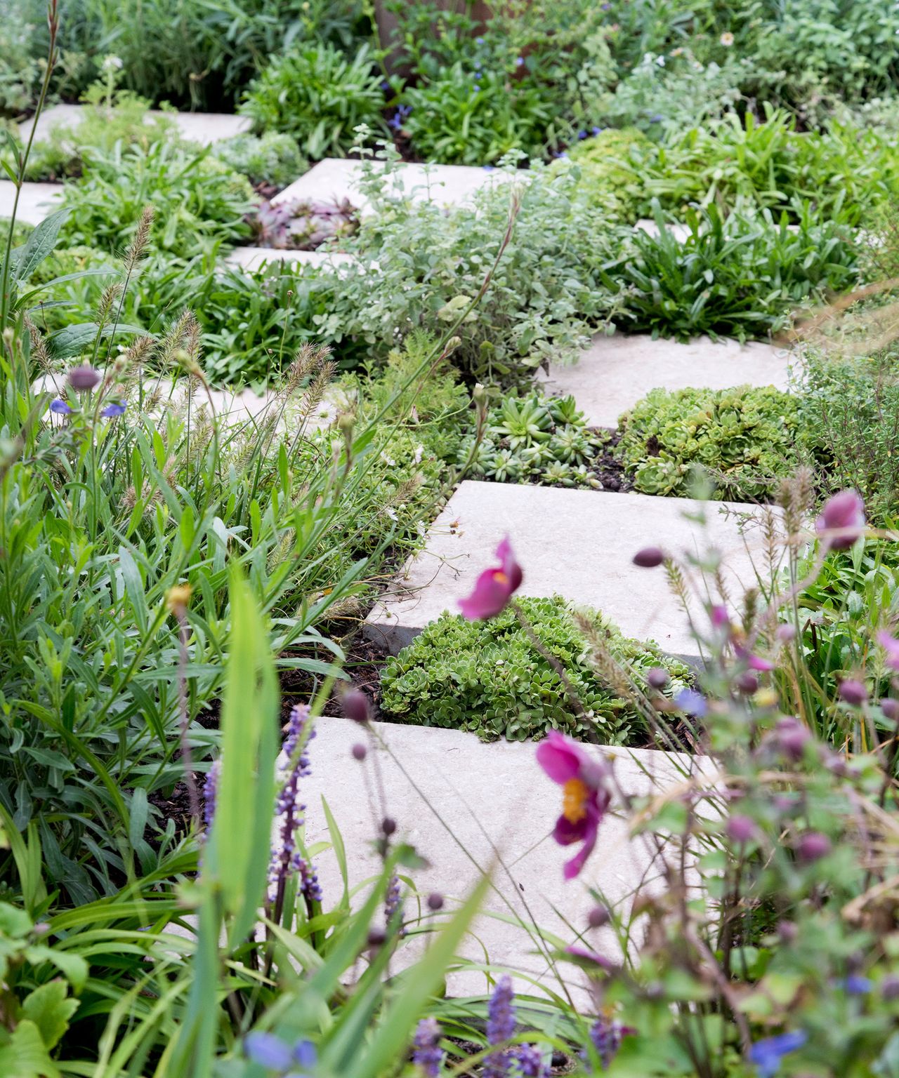 Cheap DIY garden path ideas: 10 ways to build a path for less ...