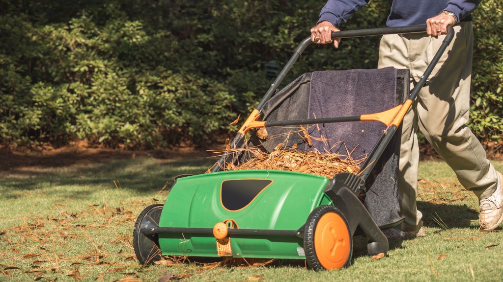 How to rake leaves the easy way — tips and tricks | Tom's Guide