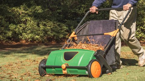 How to rake leaves the easy way — tips and tricks | Tom's Guide