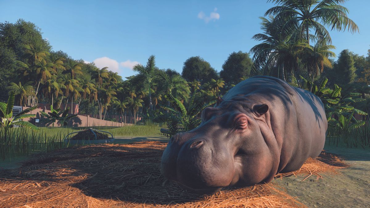 Planet Zoo is using procedural animation to create the most realistic ...