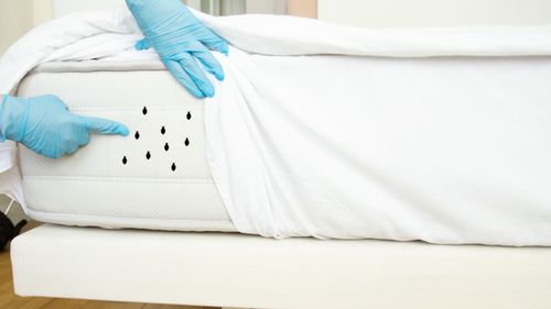 Mattress on the floor — how to avoid mold growing on your bed | Tom's Guide