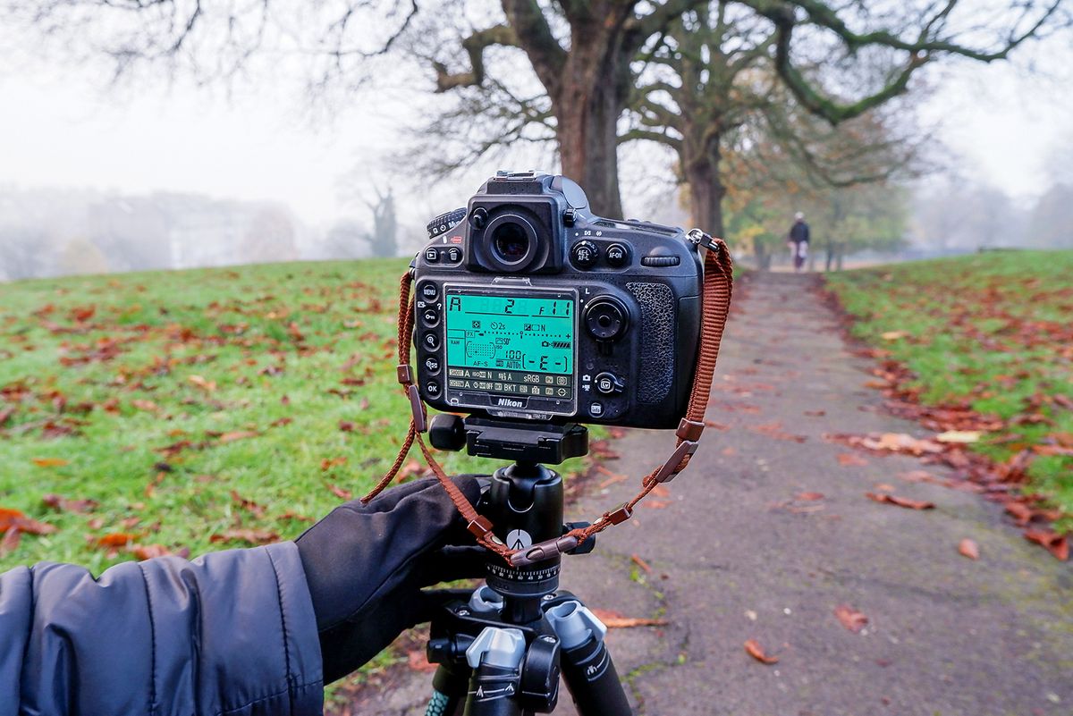 How to capture photographs of a misty scene | Digital Camera World