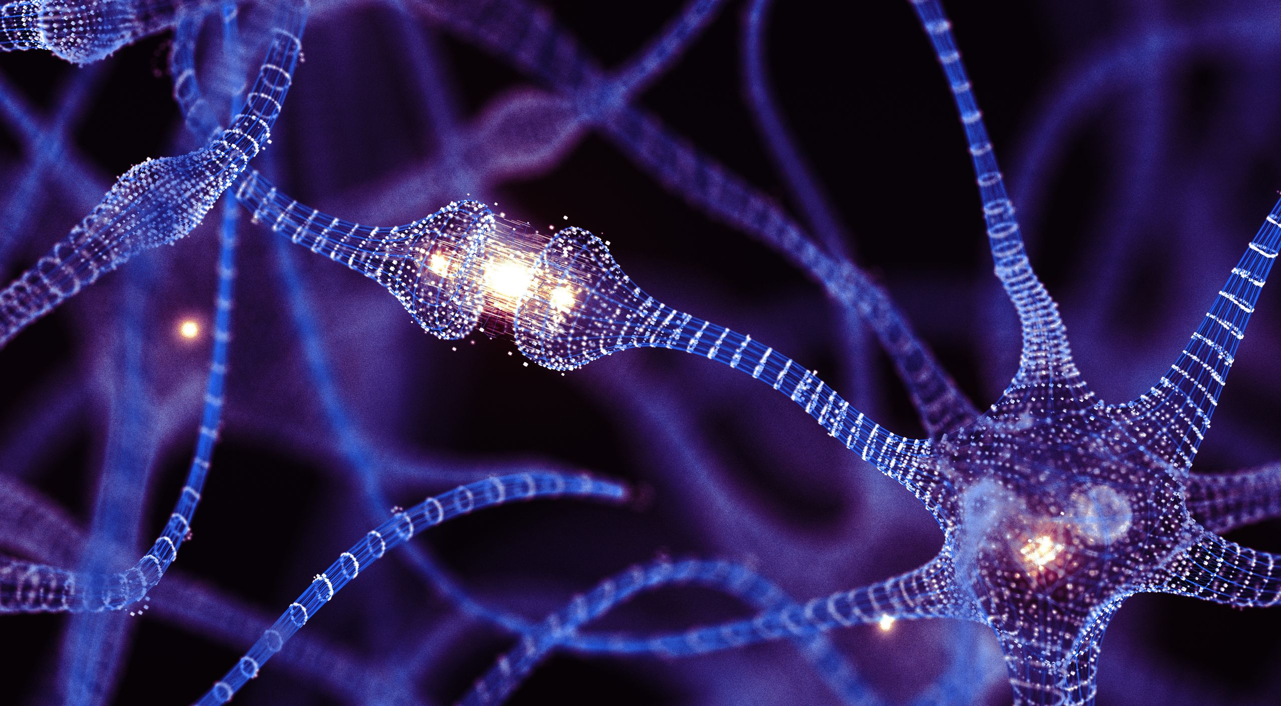 Can adults make new brain cells? New study may finally settle one of ...