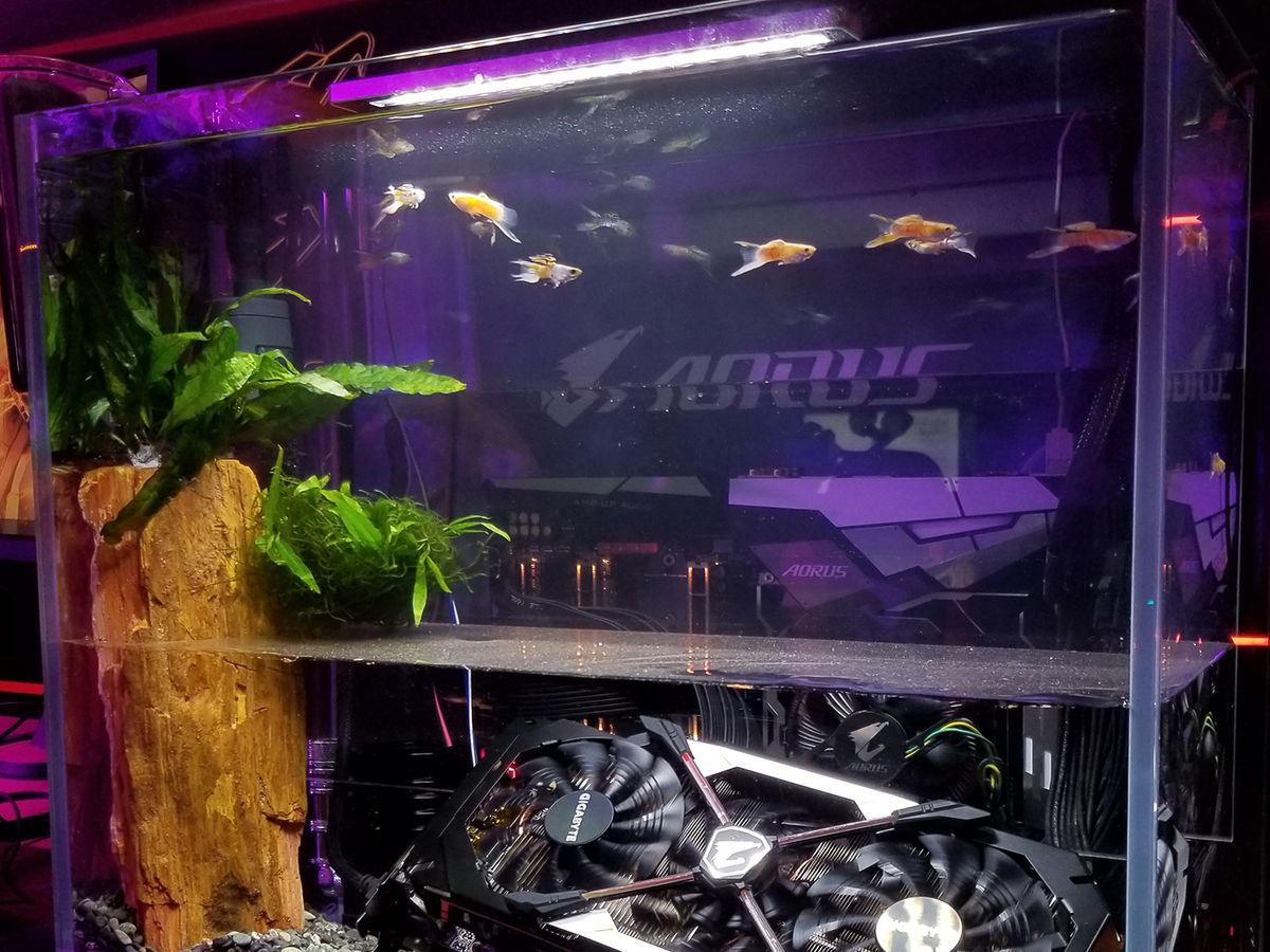Gigabyte’s Custom PC Houses Fish Above a Submerged System | Tom's Hardware