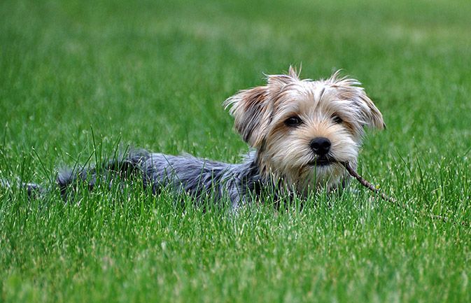 The Best Windows 10 Themes (and Where to Download Them) | Laptop Mag