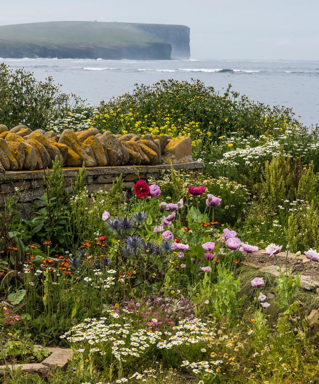 Why put sand on your lawn: 4 ways to use this versatile material ...