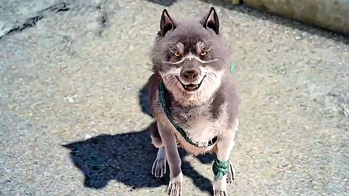 The 15 greatest doggos in Xbox history | GamesRadar+