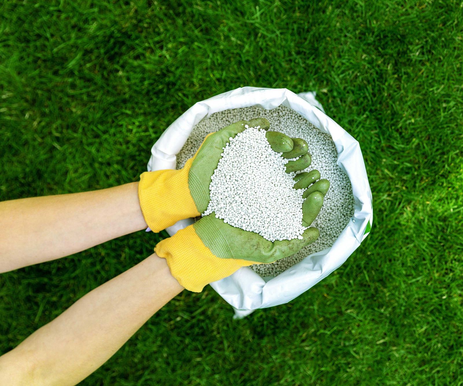 Can you over-fertilize a lawn? – the risks revealed | Homes and Gardens