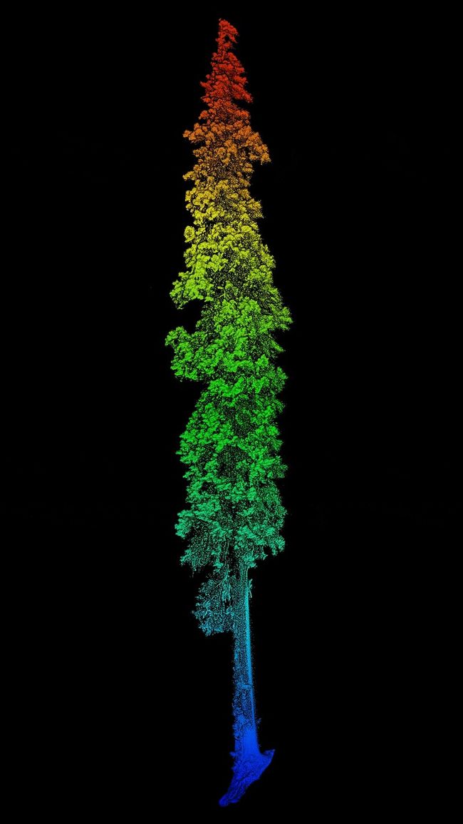 World's deepest canyon is home to Asia's tallest tree - and Chinese ...