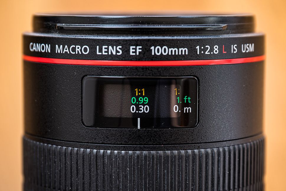 Canon School: Master macro photography with your Canon camera | Digital ...