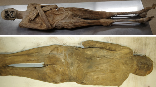 Mummification: The lost art of embalming the dead | Live Science
