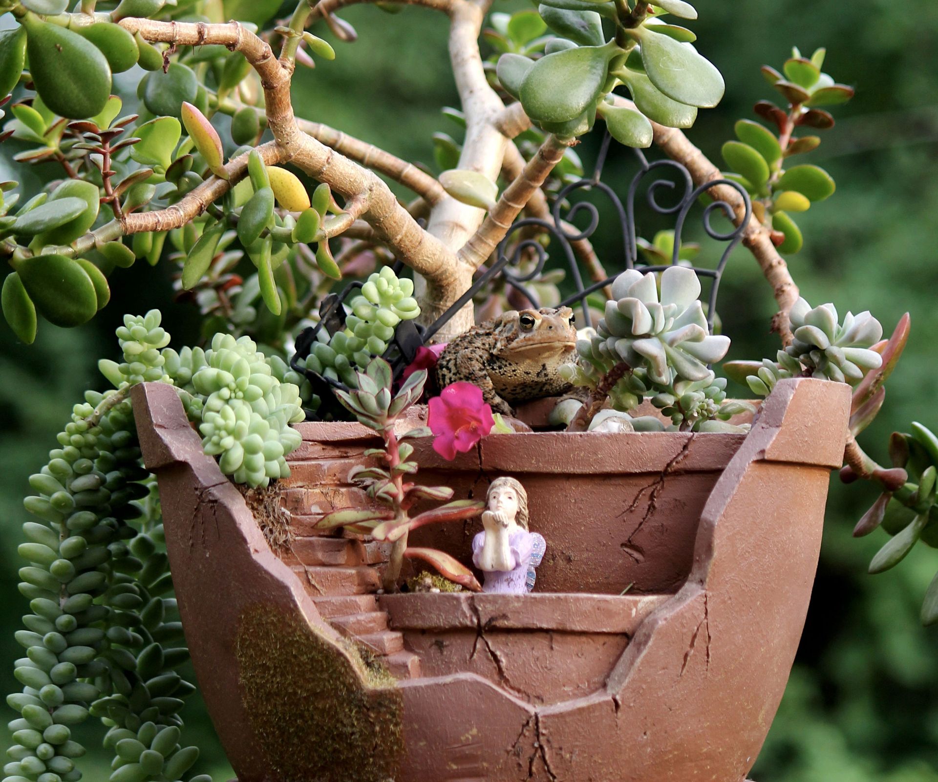 Create A Miniature Magic Kingdom: Fairy Garden Containers | Gardening ...