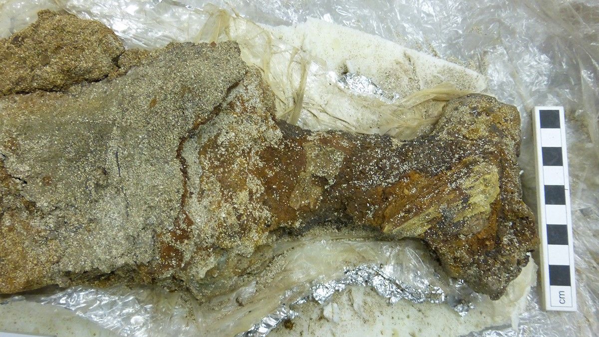 X-ray analysis reveals 'highly decorated' Viking sword caked in dirt ...