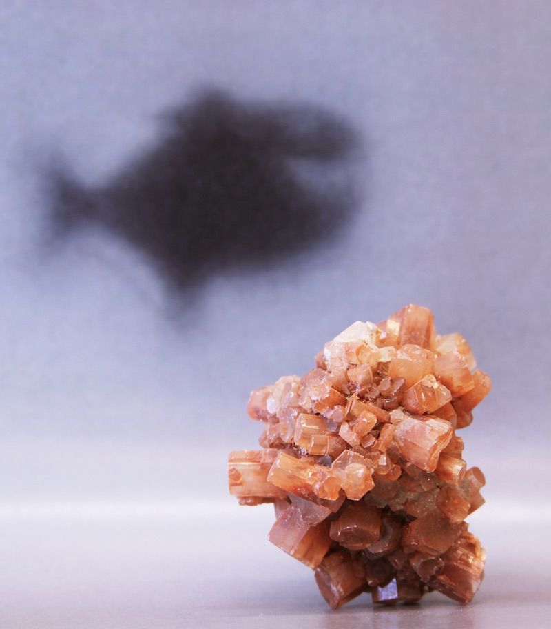 Weird Sea Mollusk Sports Hundreds of Eyes Made of Armor | Live Science